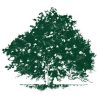 Products Archive - American Heritage Trees